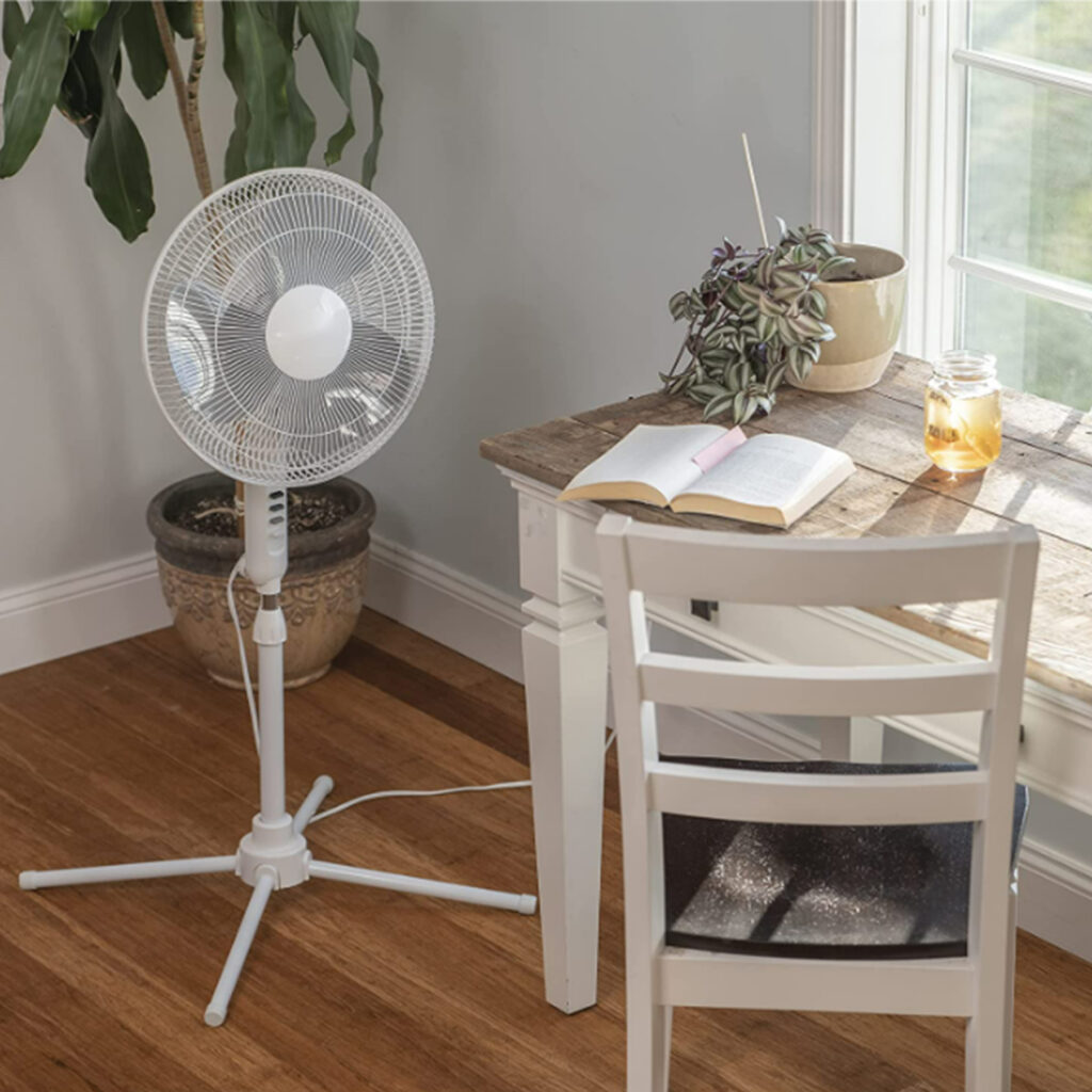 16 INCH Oscillating Stand Fan Mechanical – Albatrossindustry