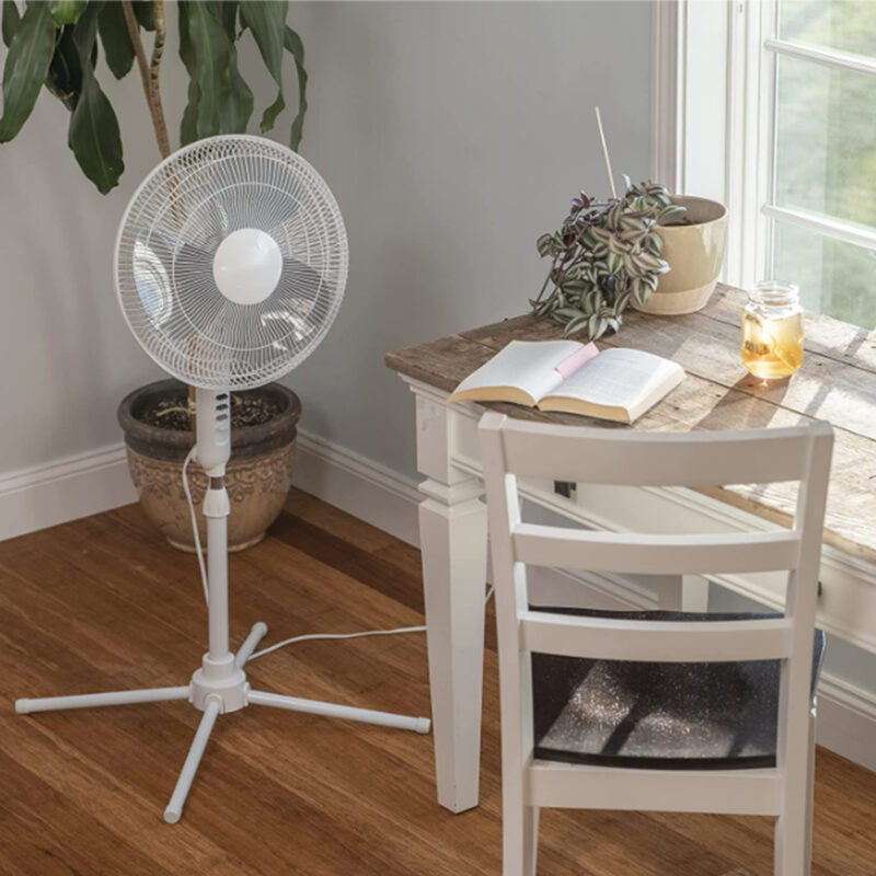 16 INCH Oscillating Stand Fan Mechanical – Albatrossindustry